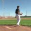 Rule 2 - Section 28 - PITCHER, PITCH, PIVOT FOOT - Baseball Rules Academy